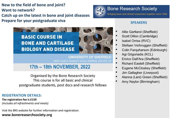 Home - Bone Research Society